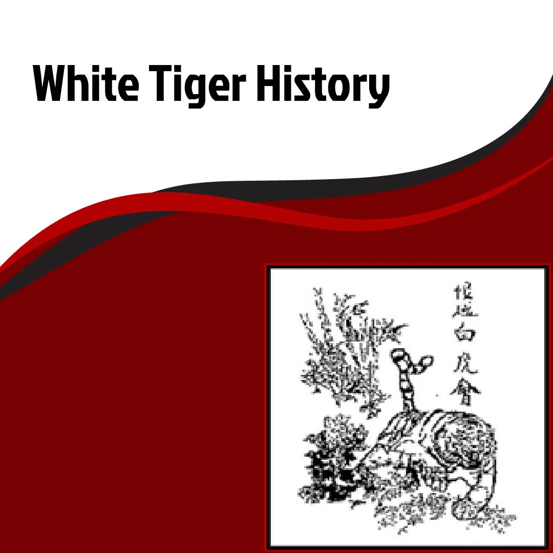 White Tiger History - Shaolin Green Dragon Kung Fu Association